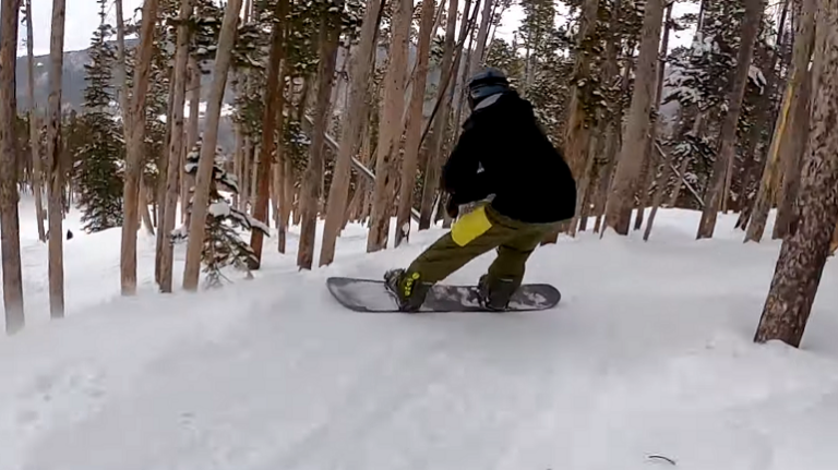 Arbor Element Camber Review: Everything You May Need to Know