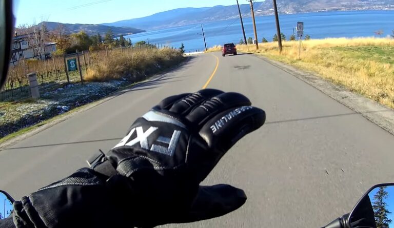 Best Snowmobile Gloves to Keep You Snuggly, Snazzy & Safe