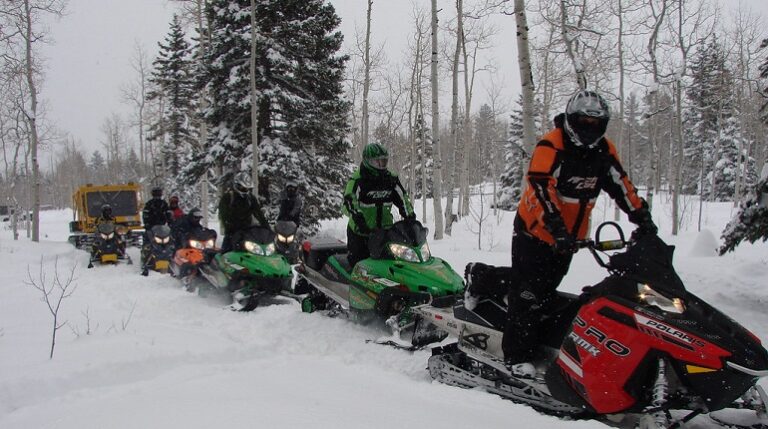 How Fast Do Snowmobiles Go? Everything You Need to Know
